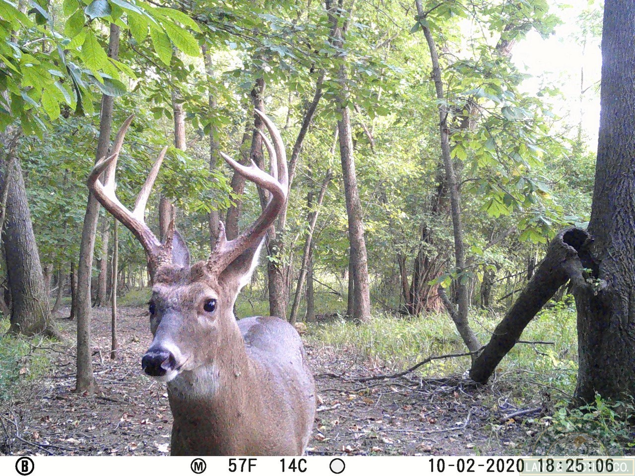 Hunter Camera - Buy A Farm Land and Auction Company