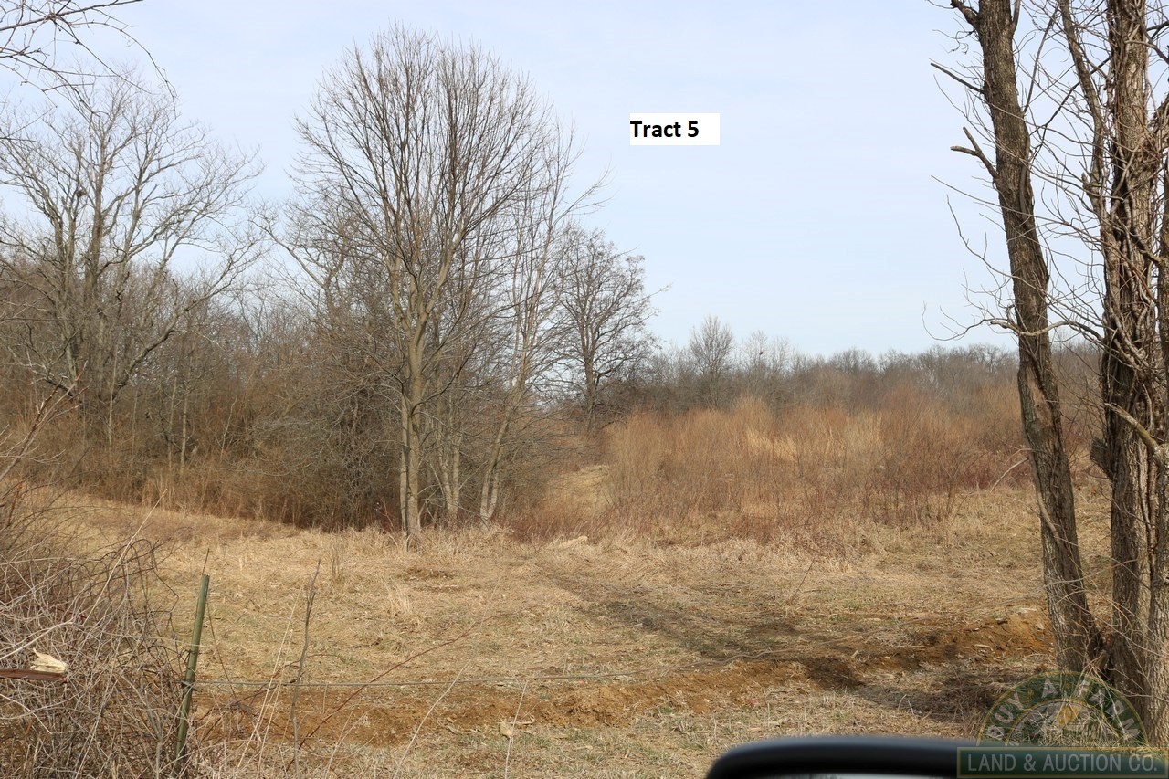 TRACT 5 PIC - Buy A Farm Land and Auction Company